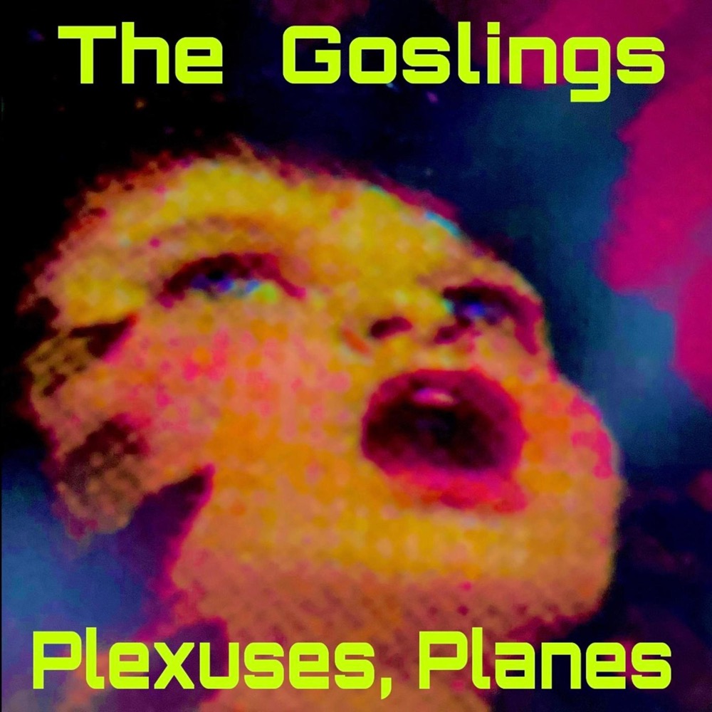 The Goslings - Plexuses, Planes - Reviews - Album of The Year