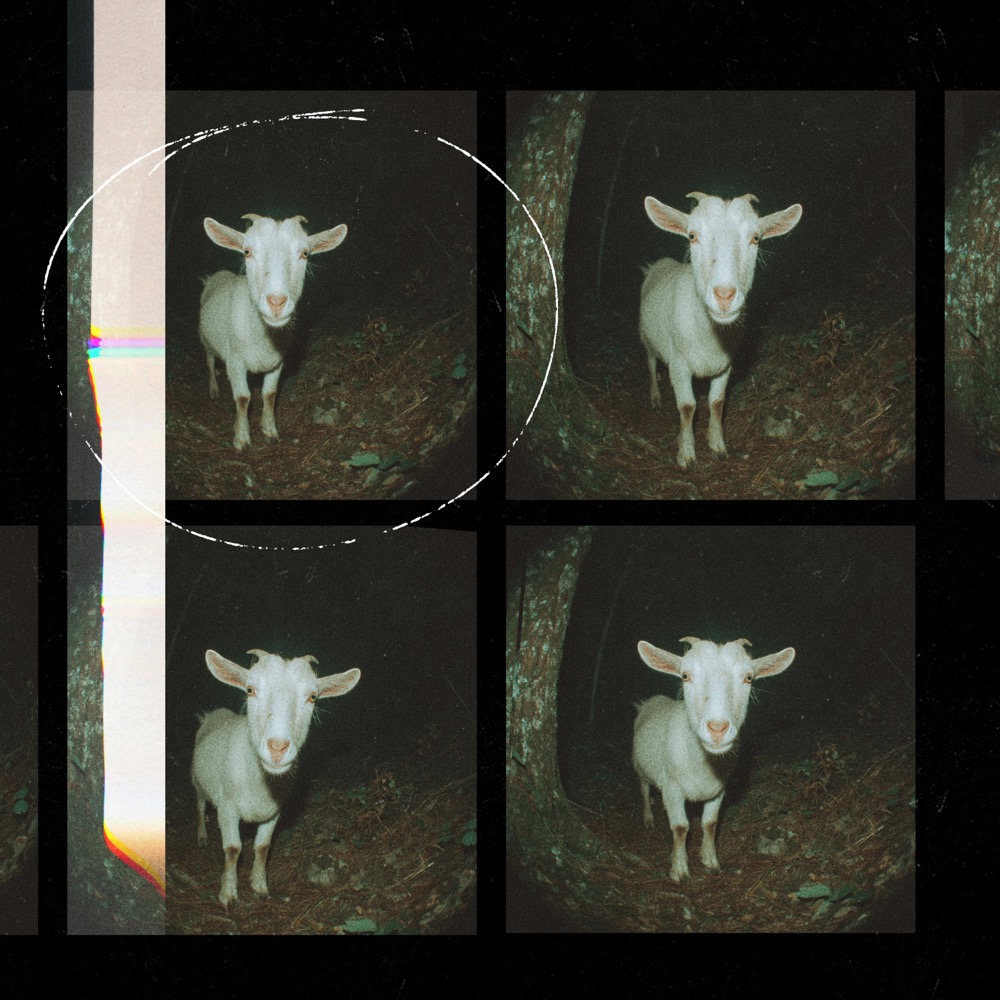 Anja Schneider - Scary Goat EP - Reviews - Album of The Year
