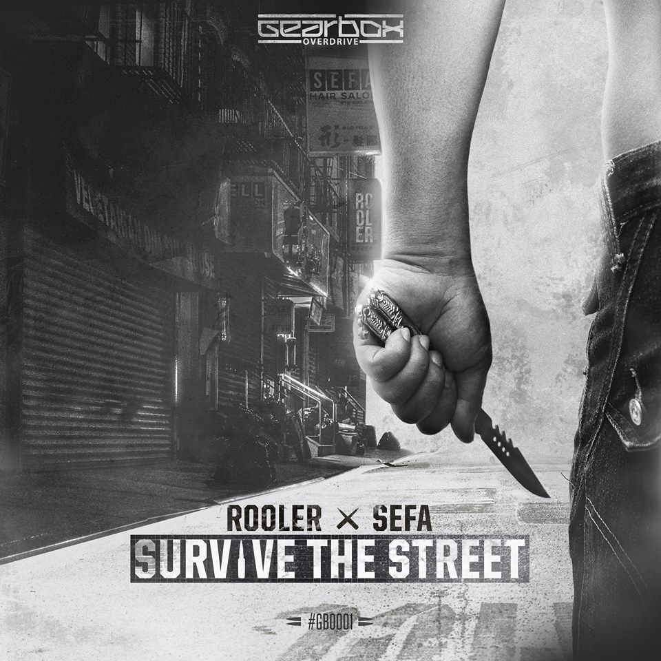 Rooler & Sefa - Survive the Street - Reviews - Album of The Year