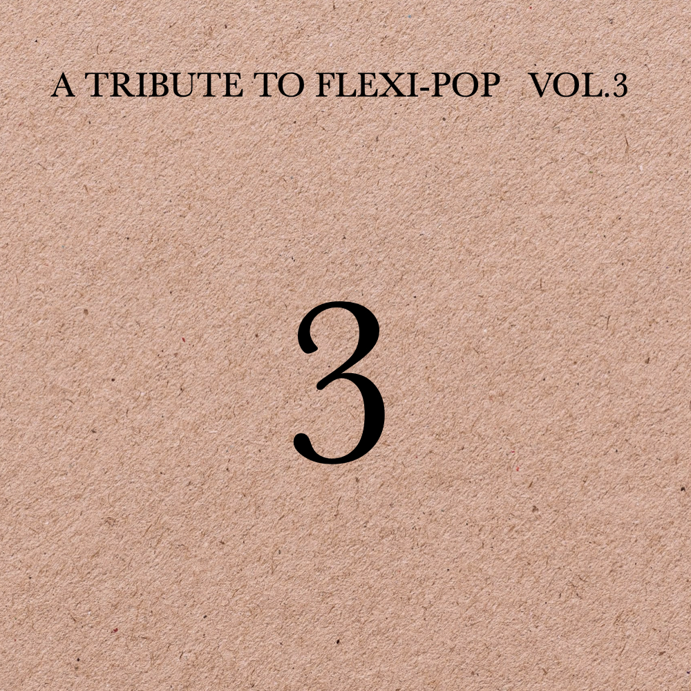 Various Artists - A Tribute to Flexi-Pop | vol.3 (Unofficial) - Reviews ...