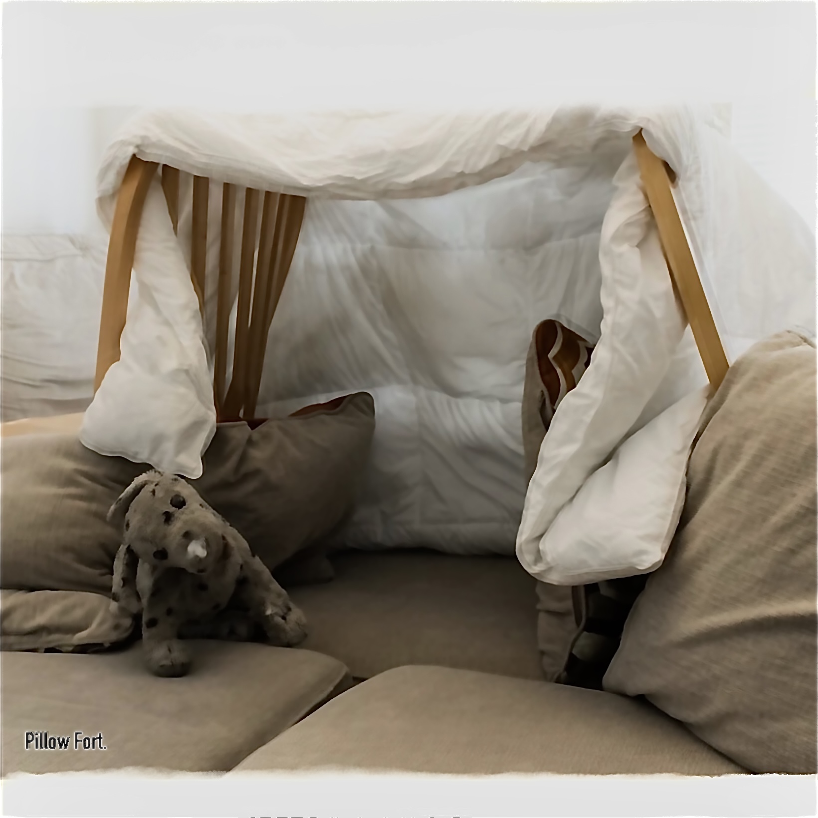 Arrows - Pillow Fort - Reviews - Album of The Year