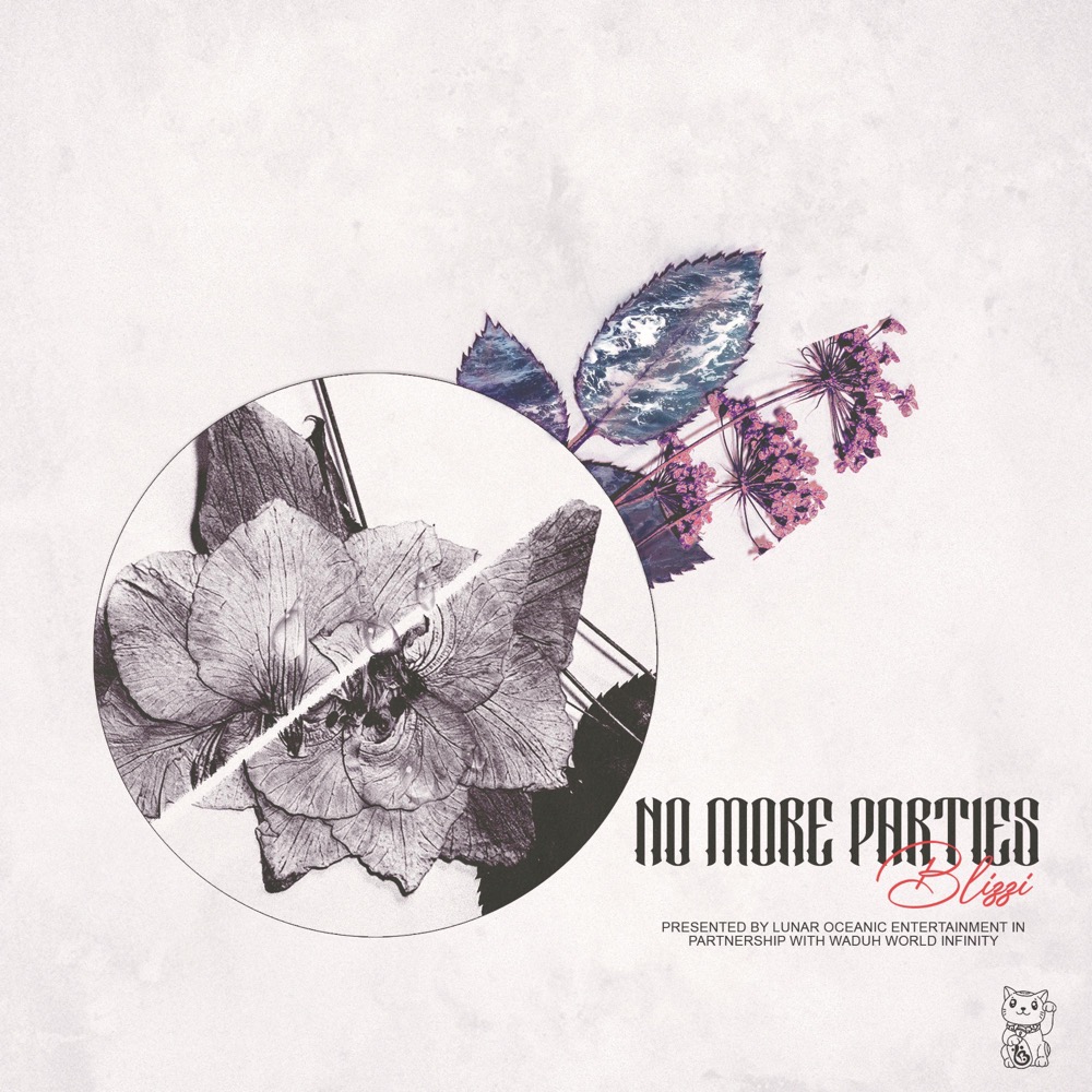 Blizzi Boi - No More Parties (Single) - Reviews - Album of The Year
