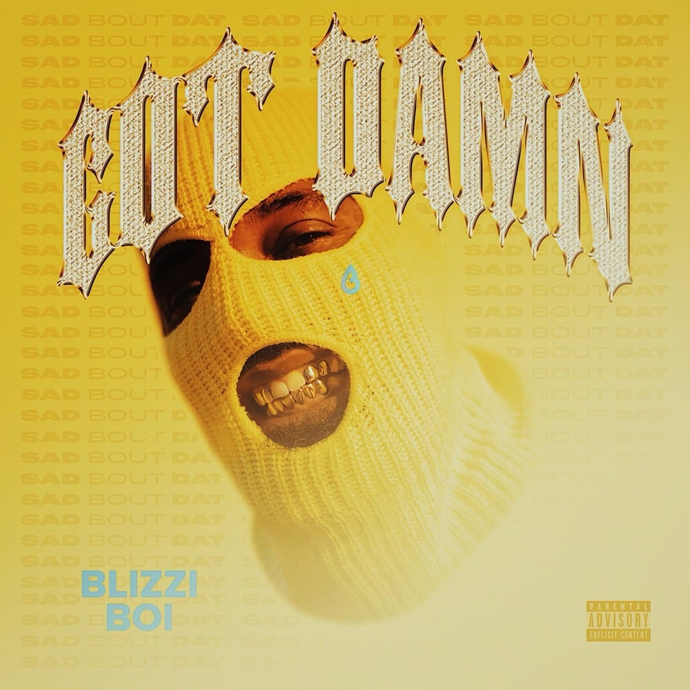 Blizzi Boi - g o t d a m n (Ain't Sad Bout Dat) - Reviews - Album of ...