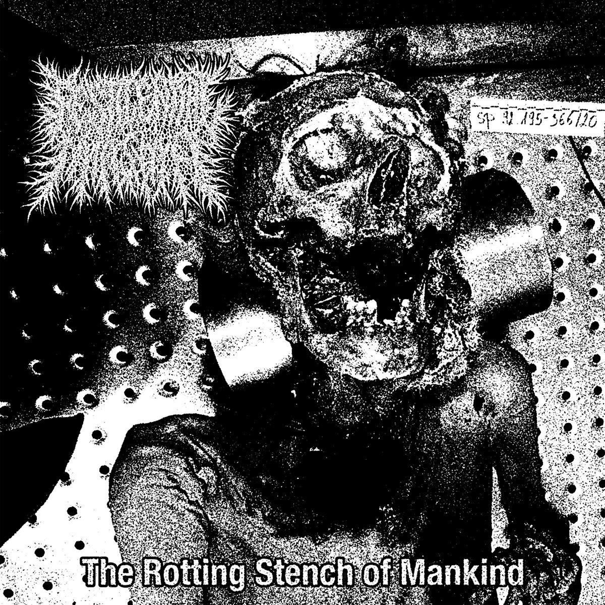 Pestilential Miasma - The Rotting Stench of Mankind - Reviews - Album ...