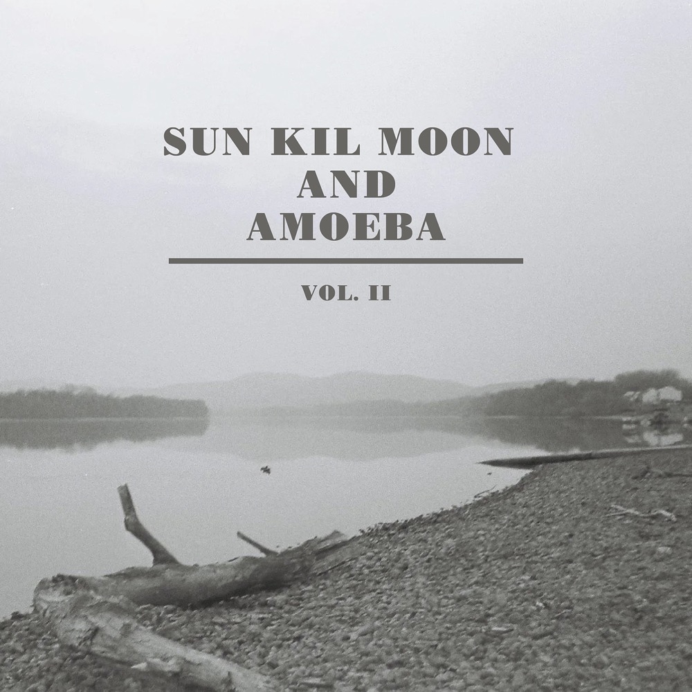 Sun Kil Moon - Sun Kil Moon and Amoeba, Vol. II - Reviews - Album of ...