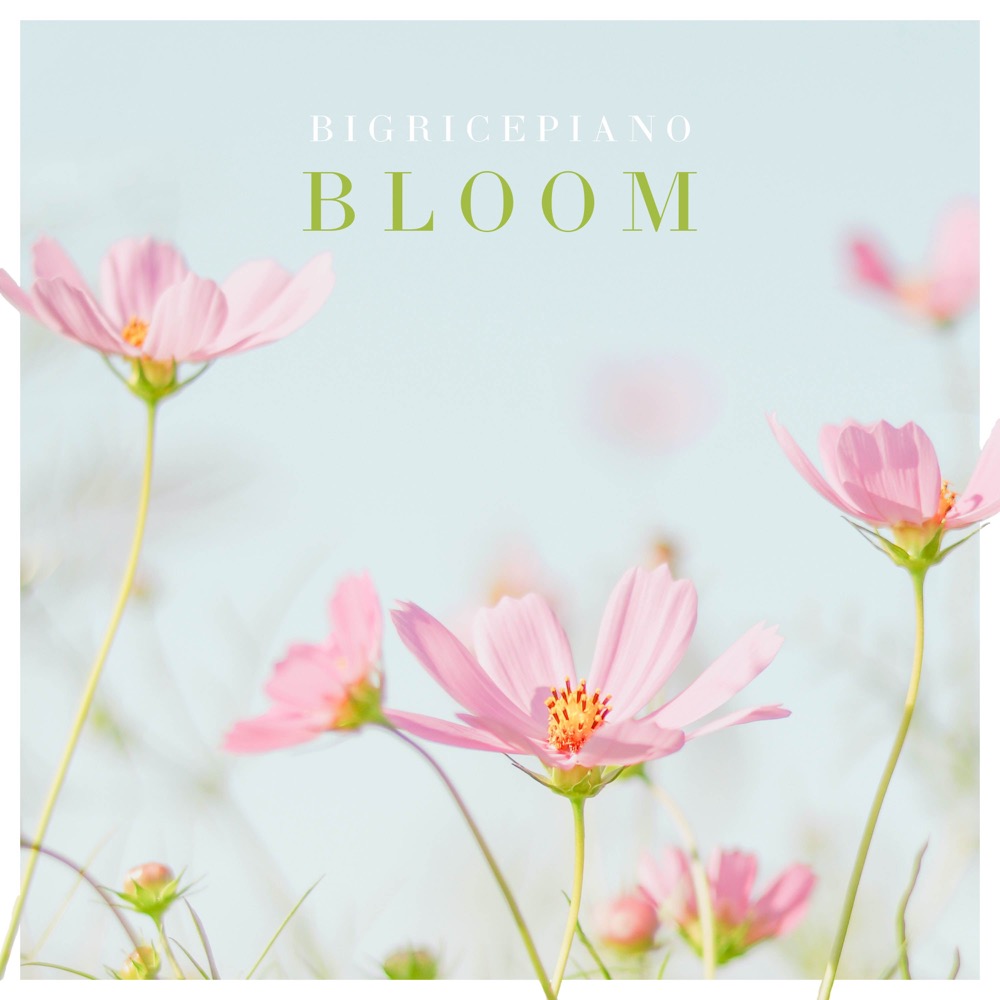 BigRicePiano - Bloom - Reviews - Album of The Year