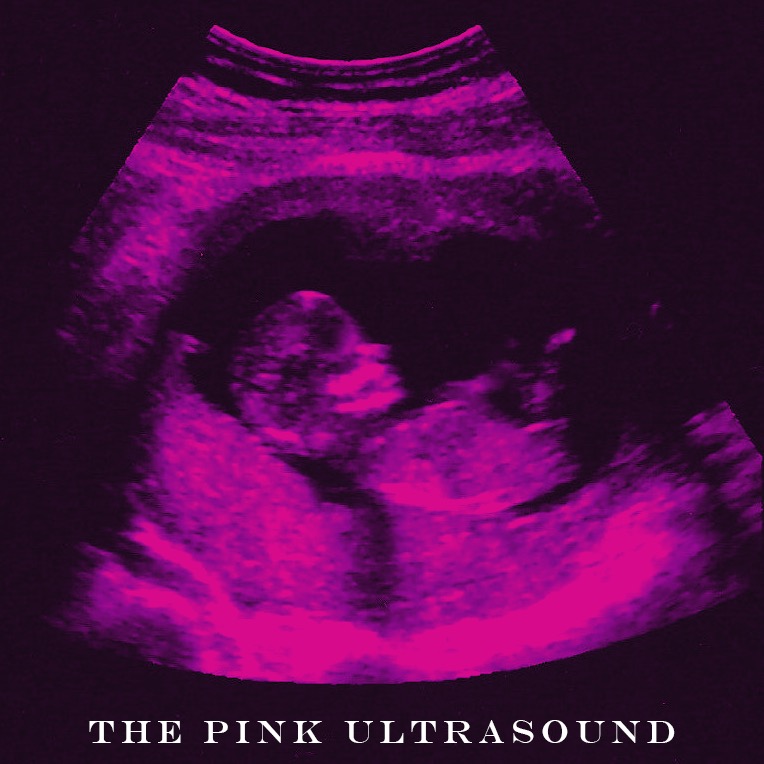 Charles Hamilton - The Pink Ultrasound (Mixtape) - Reviews - Album of ...