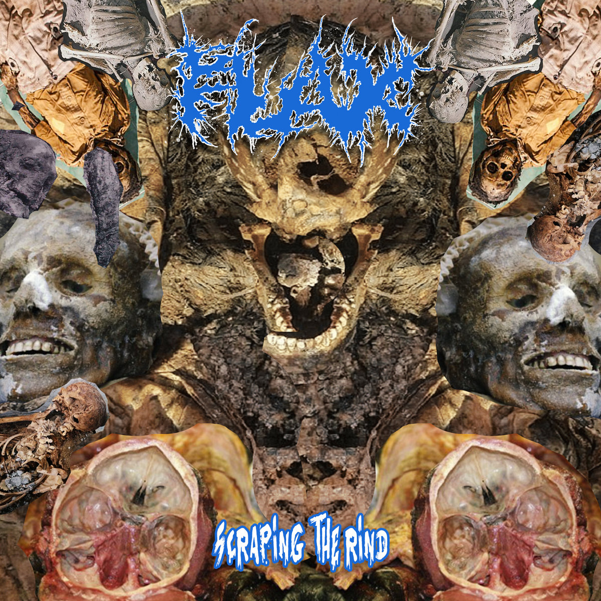 Flax - Scraping The Rind - Reviews - Album of The Year