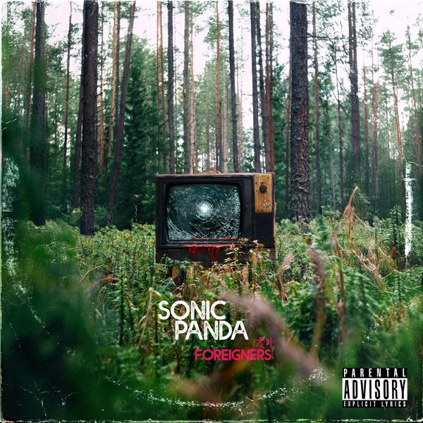 Sonic Panda - Foreigners (Single) - Reviews - Album of The Year