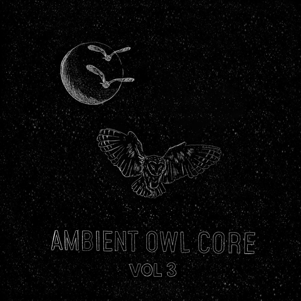 Kayla Painter - Ambient Owl Core (Vol 3) (EP) - Reviews - Album of The Year