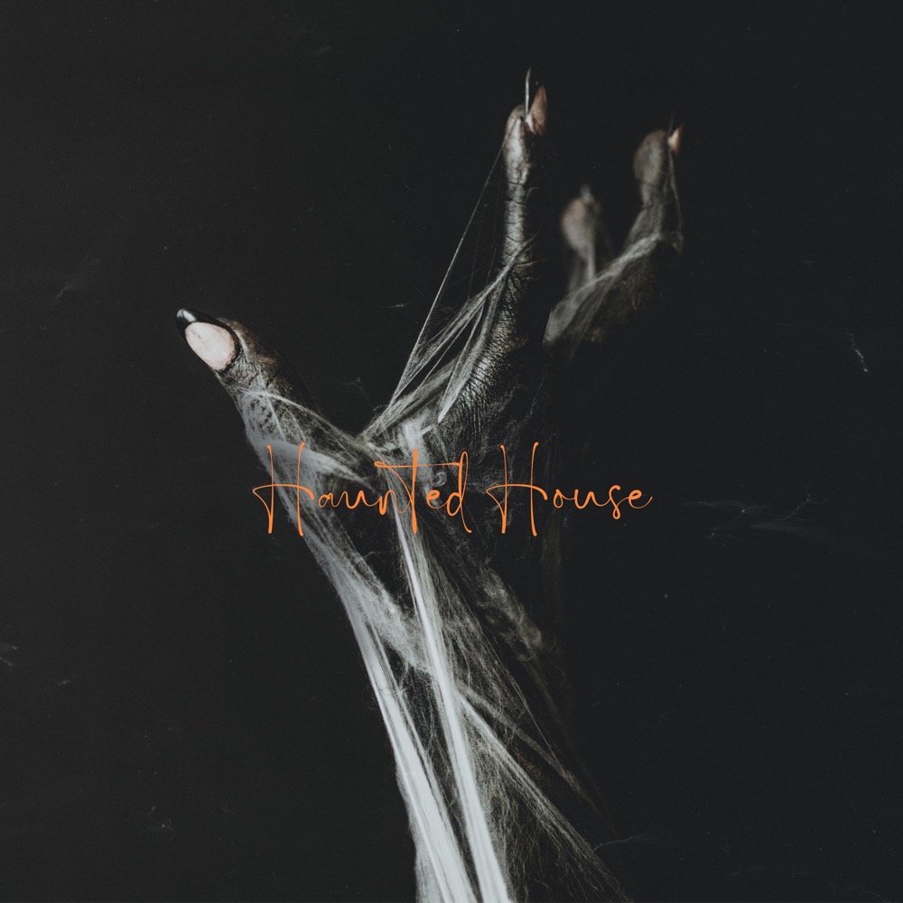 AViVA - HAUNTED HOUSE - Reviews - Album of The Year