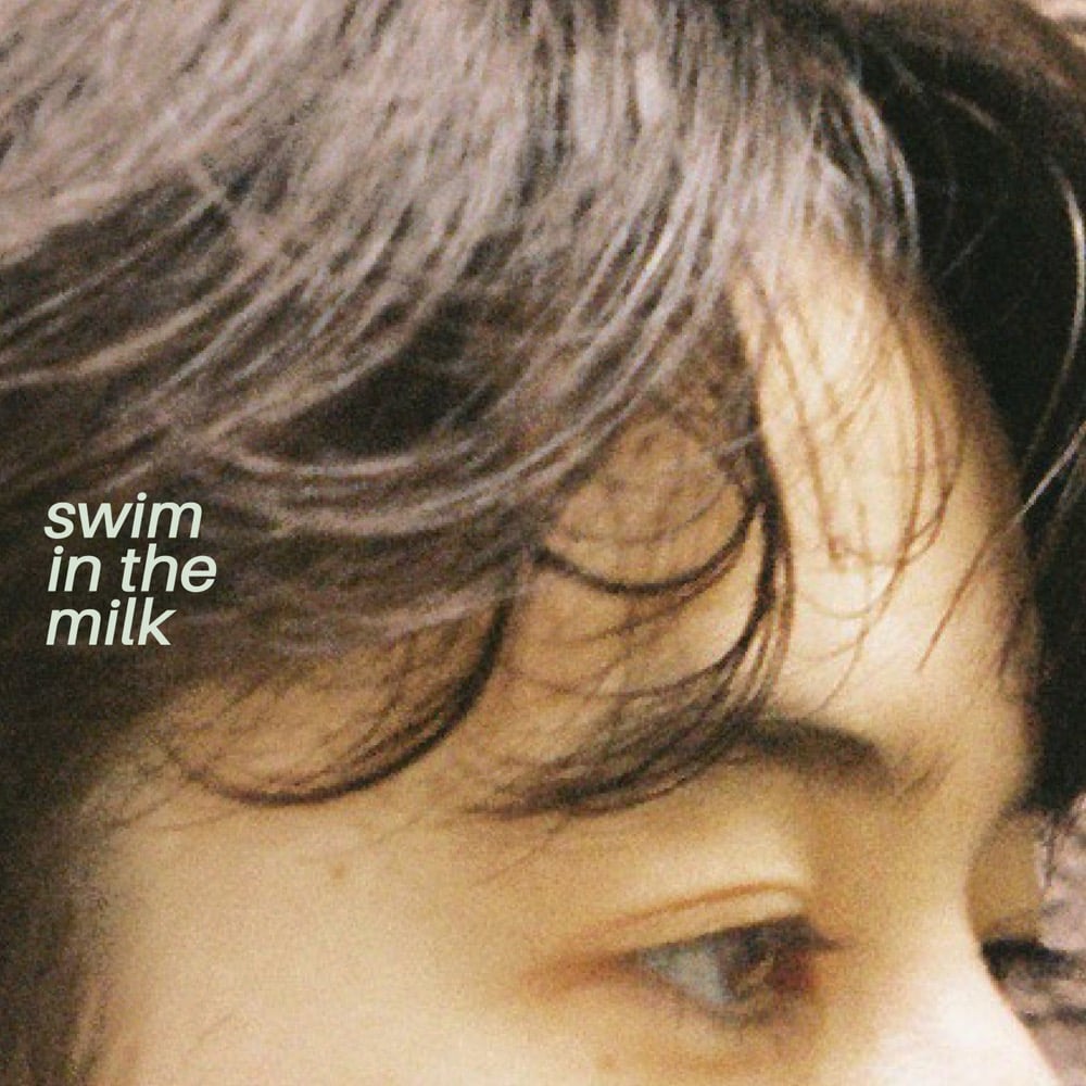 LIGHTERS - swim in the milk - Reviews - Album of The Year