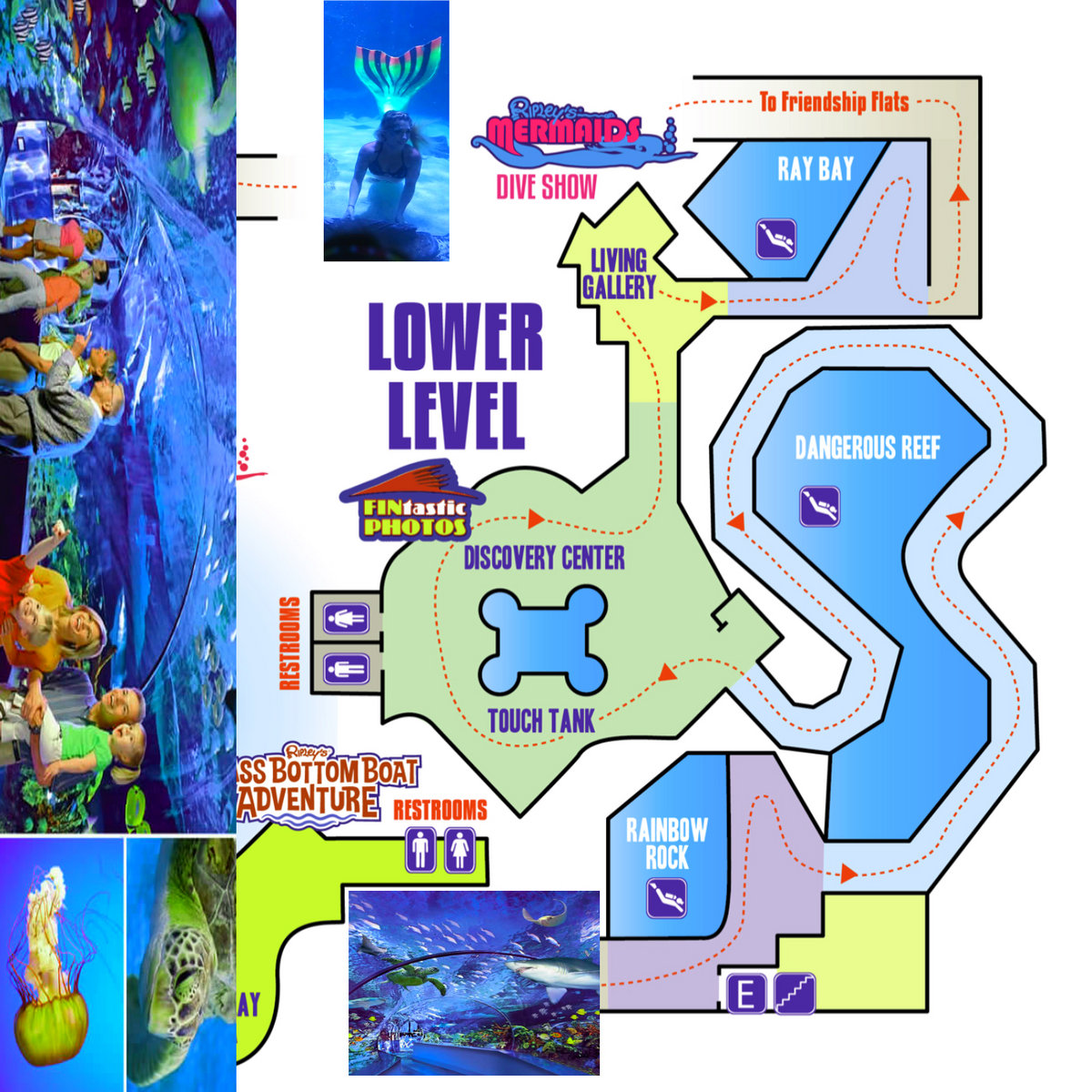 Cute Aesthetics - Ripley's Aquarium (EP) - Reviews - Album of The Year