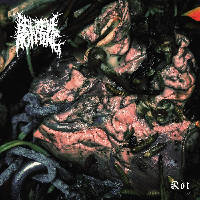 Believe In Nothing - Rot - Reviews - Album of The Year
