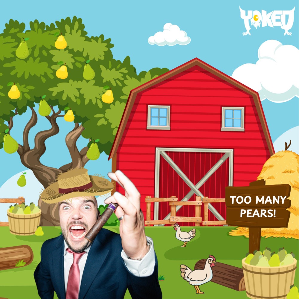 YOKED - too many pears! (Single) - Reviews - Album of The Year