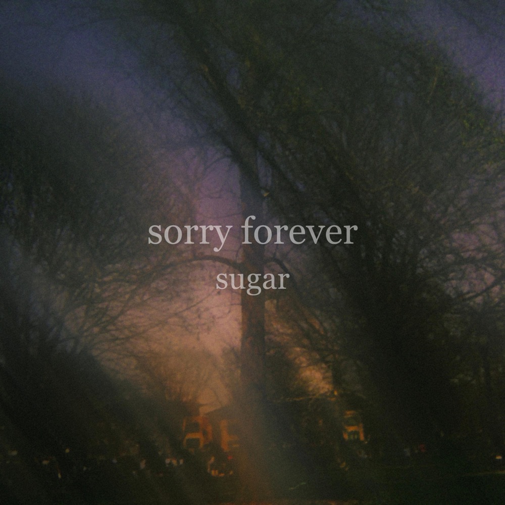 sorry forever - sugar - Reviews - Album of The Year