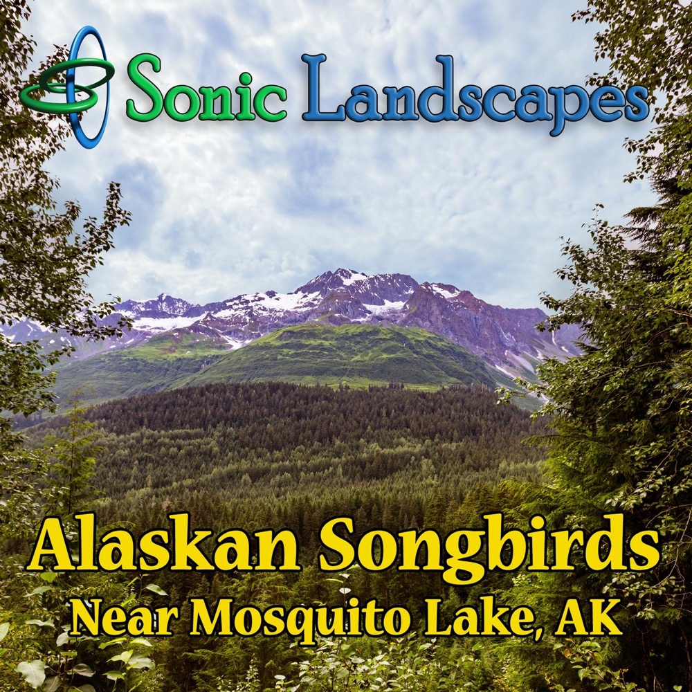 Sonic Landscapes - Alaskan Songbirds (Single) - Reviews - Album of The Year