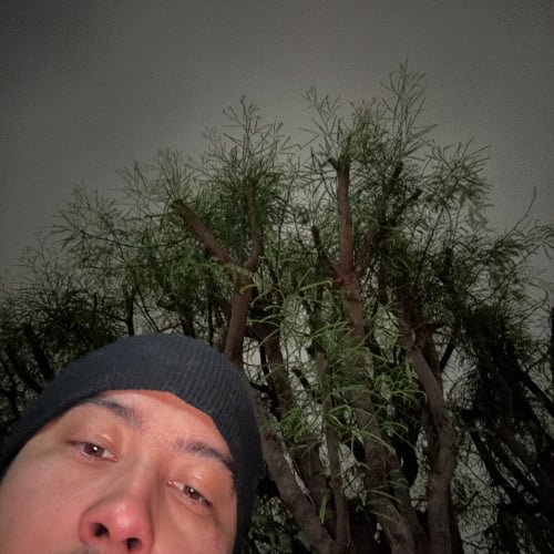 tuv - good thing? (Single) - Reviews - Album of The Year