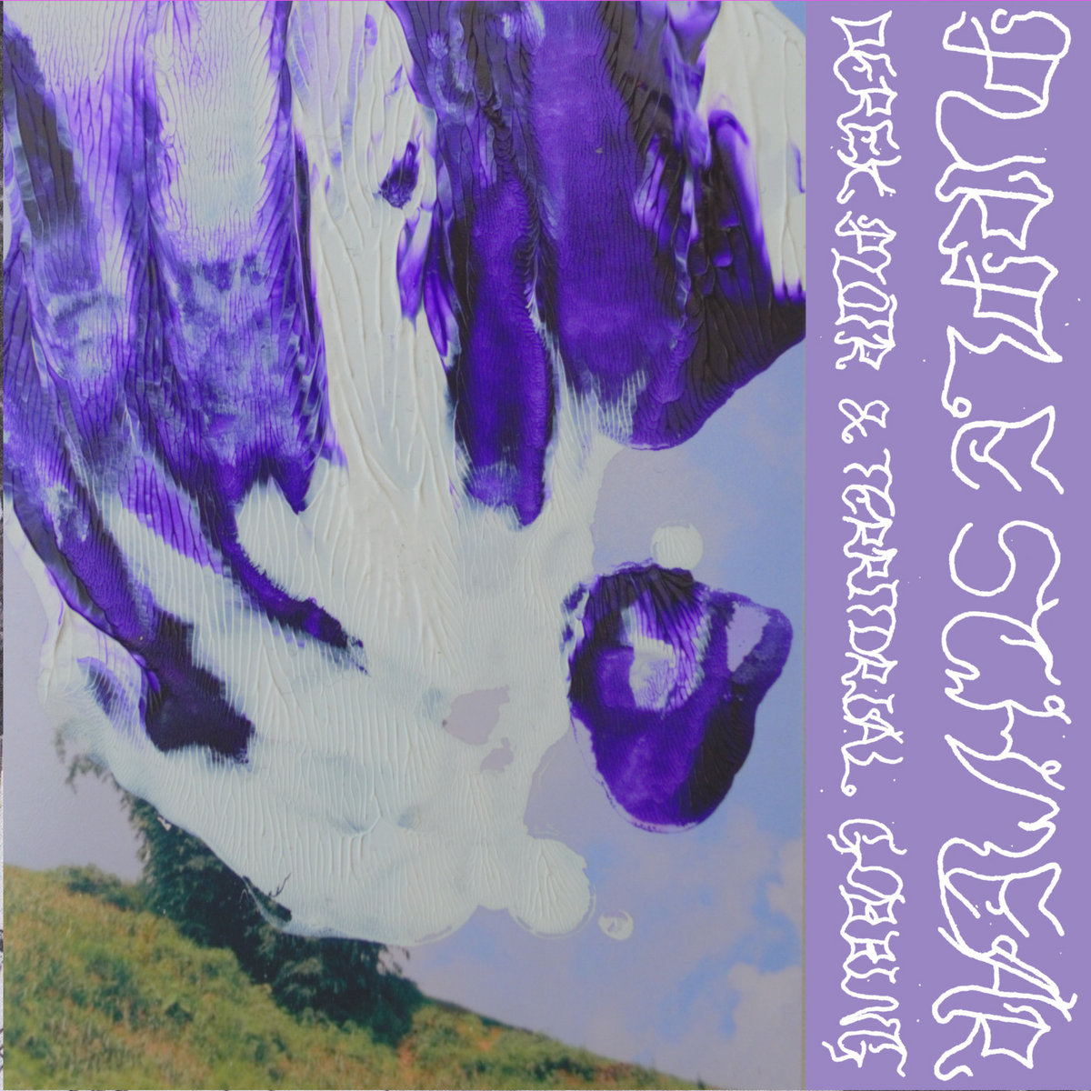 Derek Piotr & Territorial Gobbing - Purple Schmear - Reviews - Album of ...