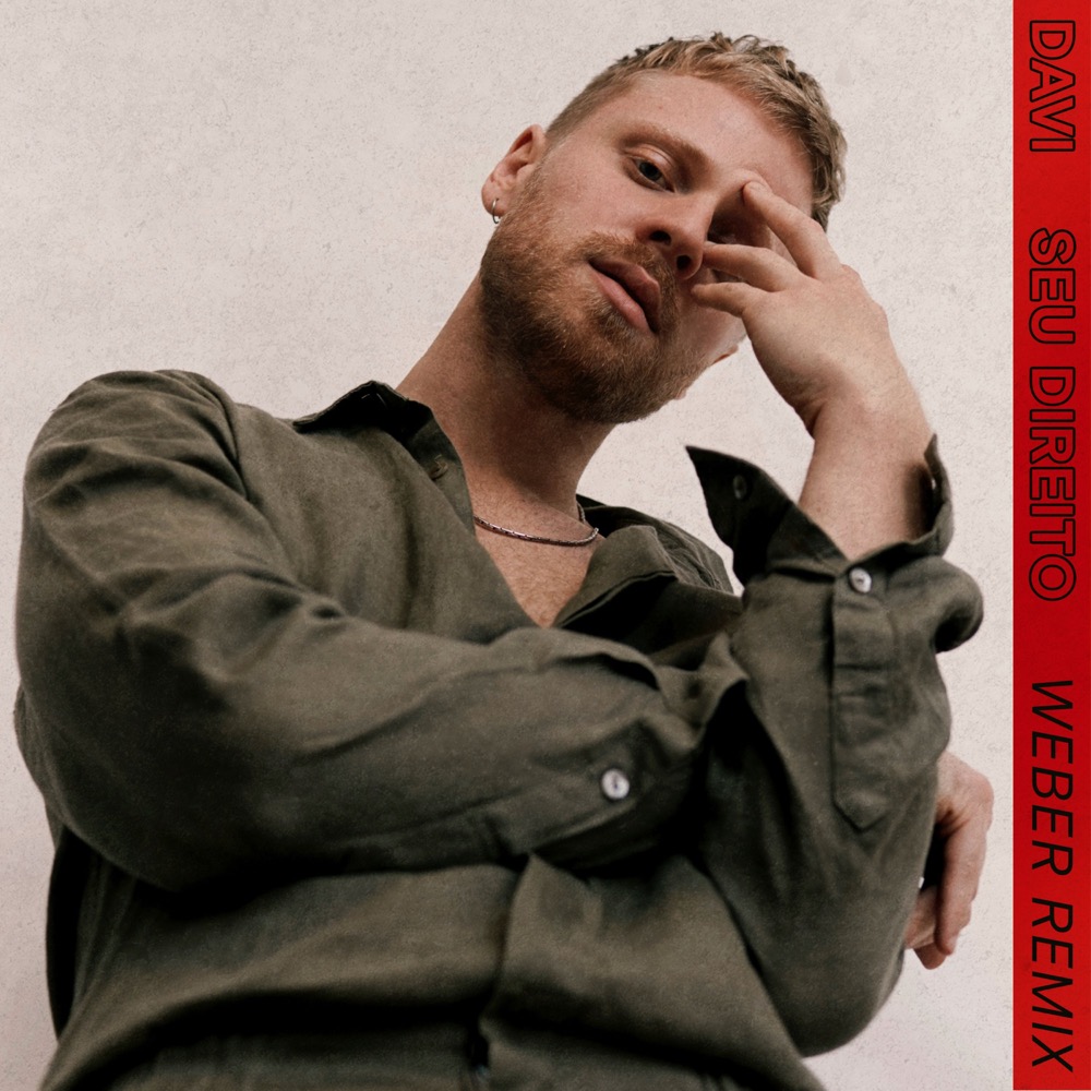 Davi Sabbag - Seu Direito (Weber Remix) (Single) - Reviews - Album of ...
