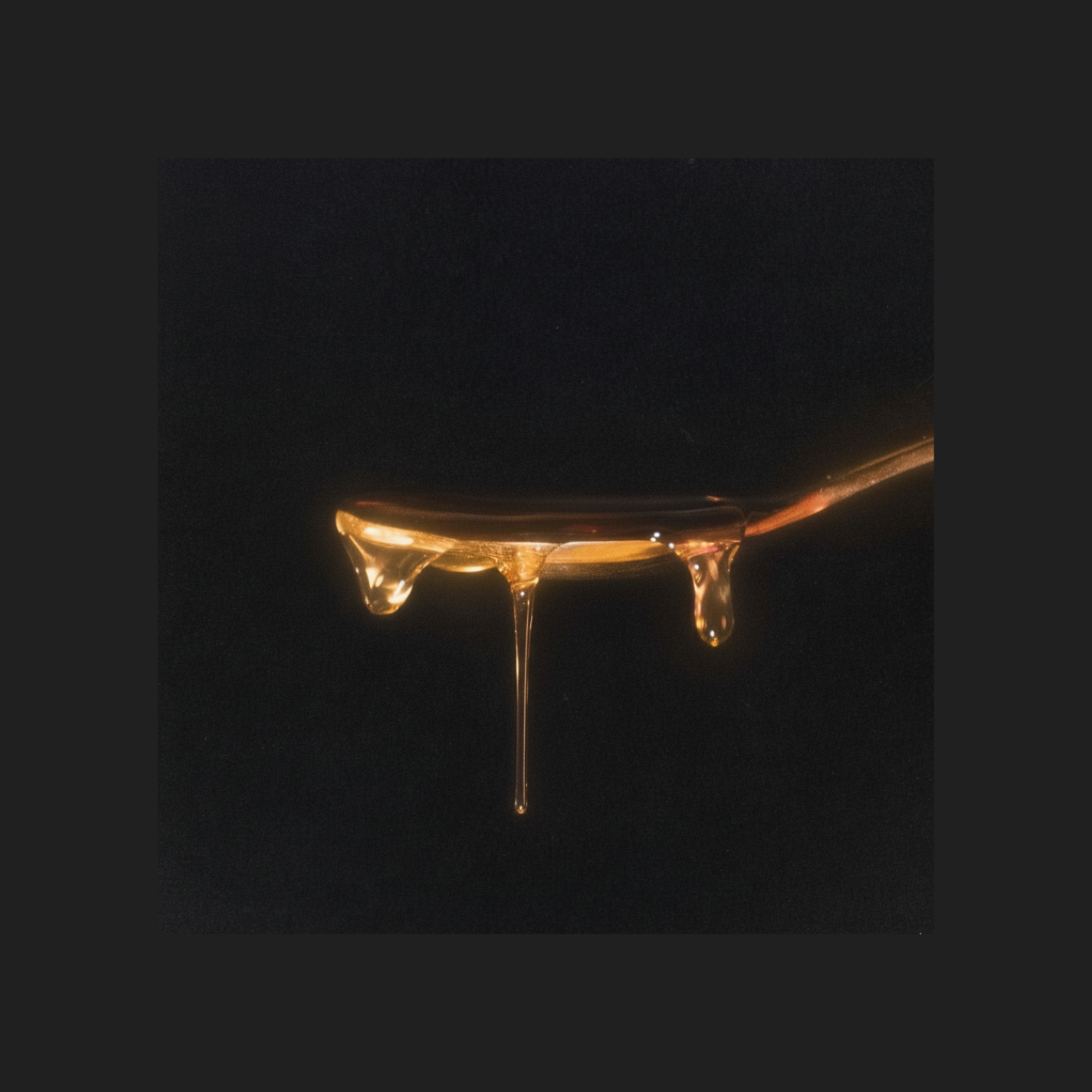Only Angel - Miel - Reviews - Album of The Year
