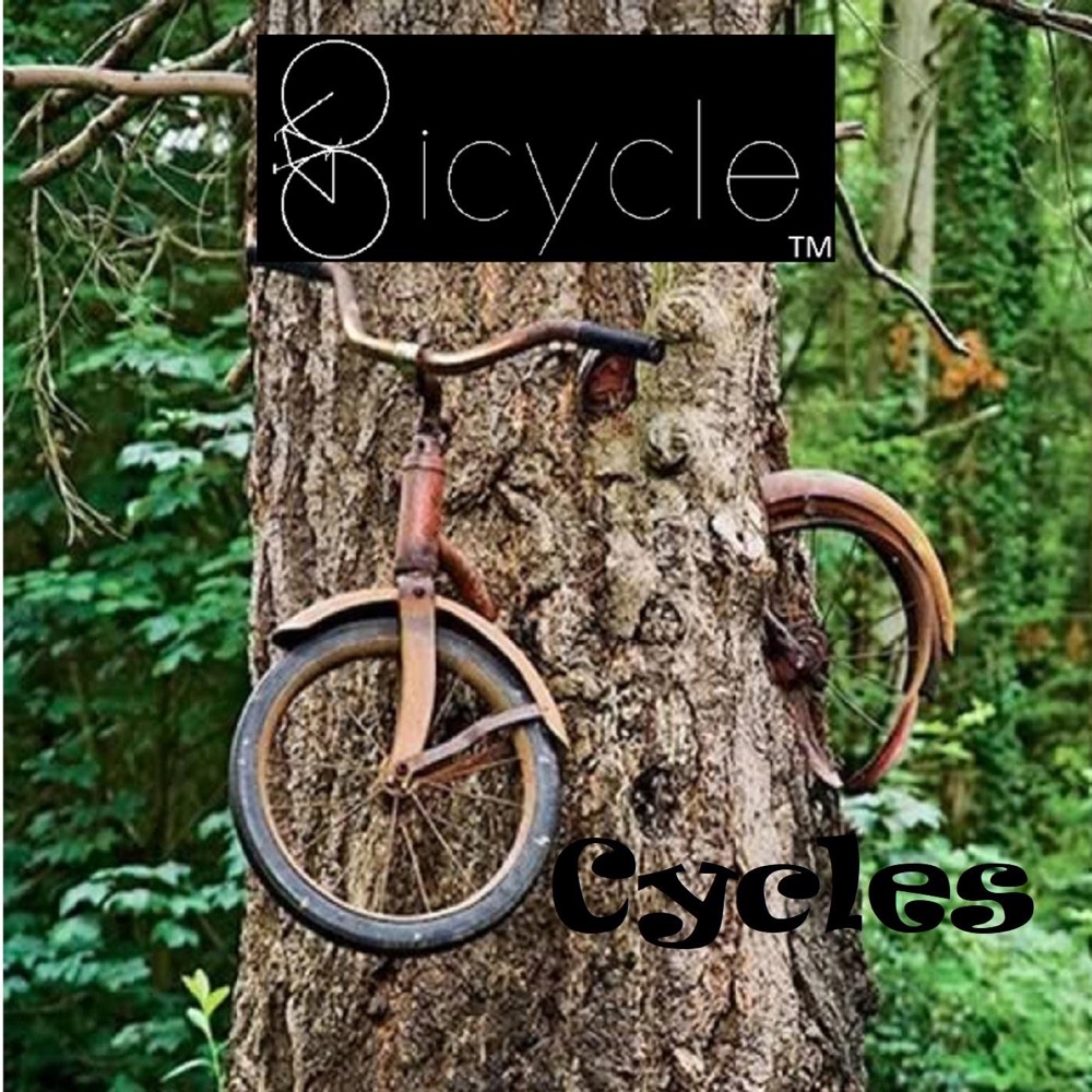 Bicycle - Cycles - Reviews - Album of The Year