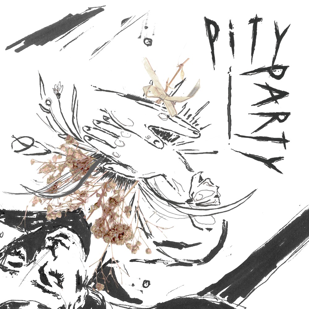 Makthaverskan - Pity Party (Single) - Reviews - Album of The Year