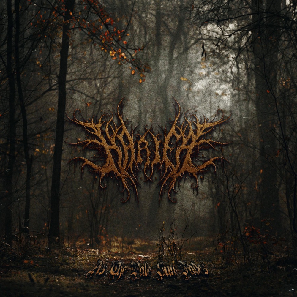 Harifa - As the Pale Sun Fades - Reviews - Album of The Year