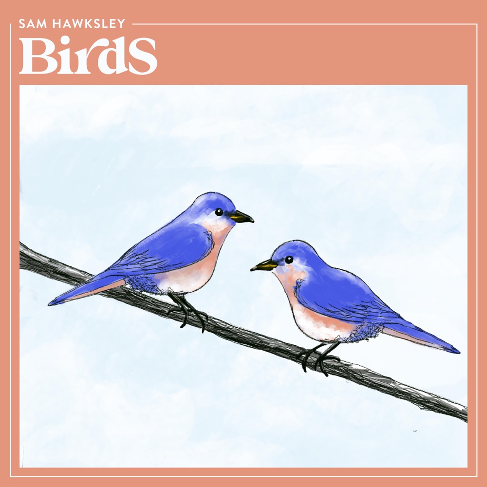 Sam Hawksley - Birds - Reviews - Album of The Year