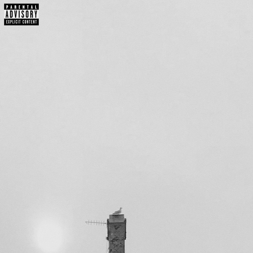 Cameron Finger - GULL - Reviews - Album of The Year