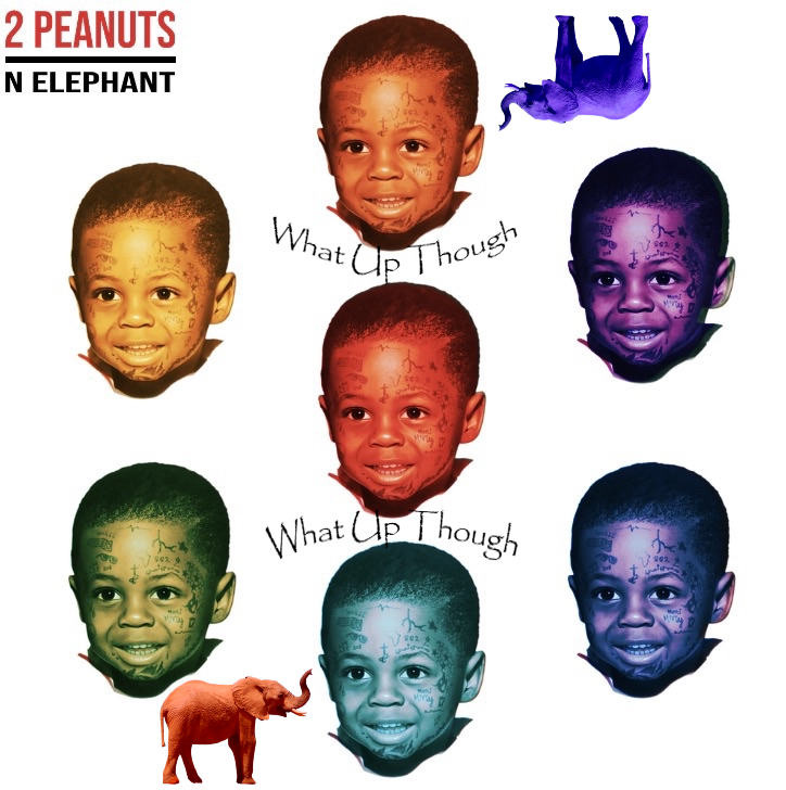 Martin Van Ruin Collective - 2 Peanuts N Elephant (EP) - Reviews ...