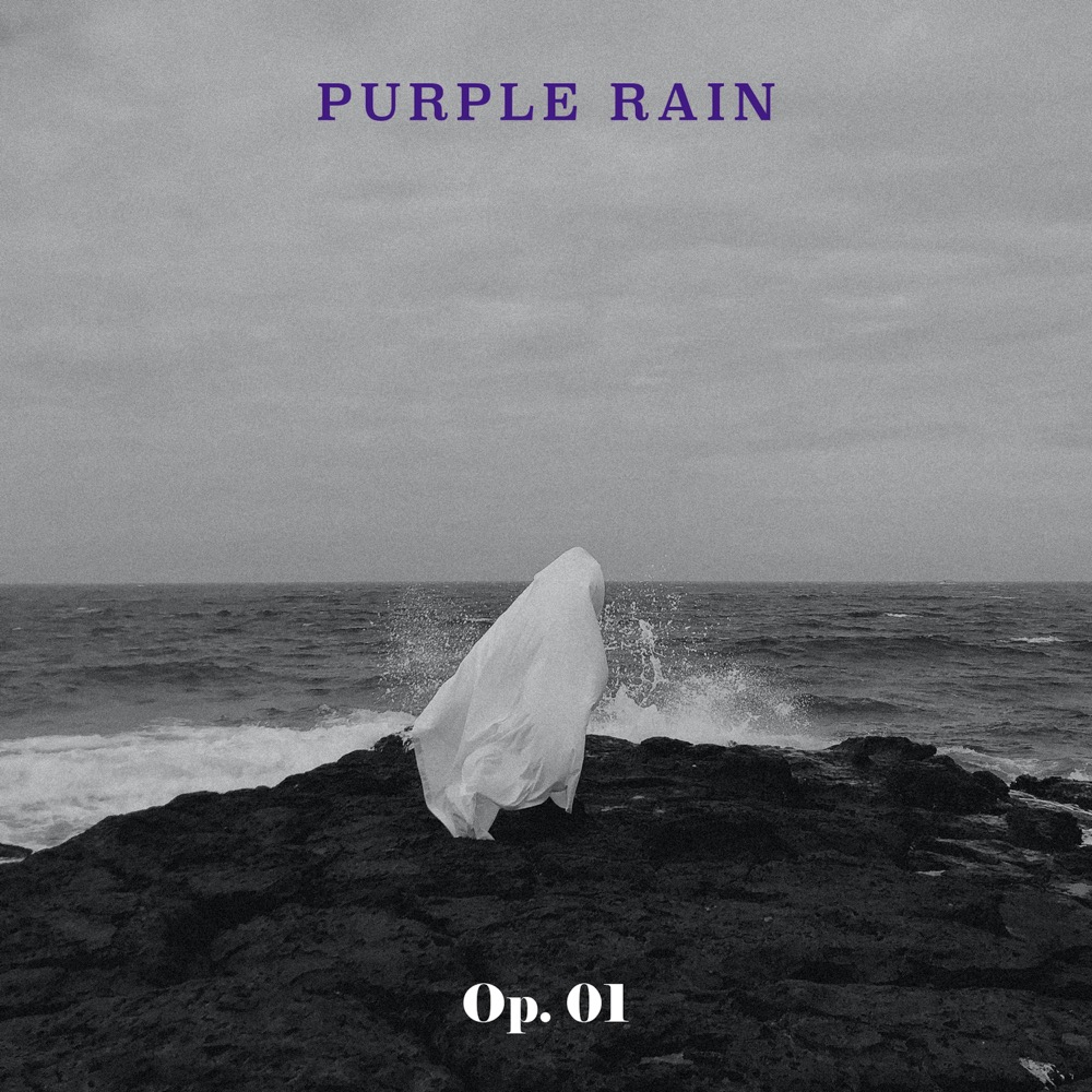 Purple Rain - Op.01 - Reviews - Album of The Year