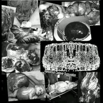 Butyric Fermentation Abuse - Rancorous Cadaver Suppuration - Reviews ...