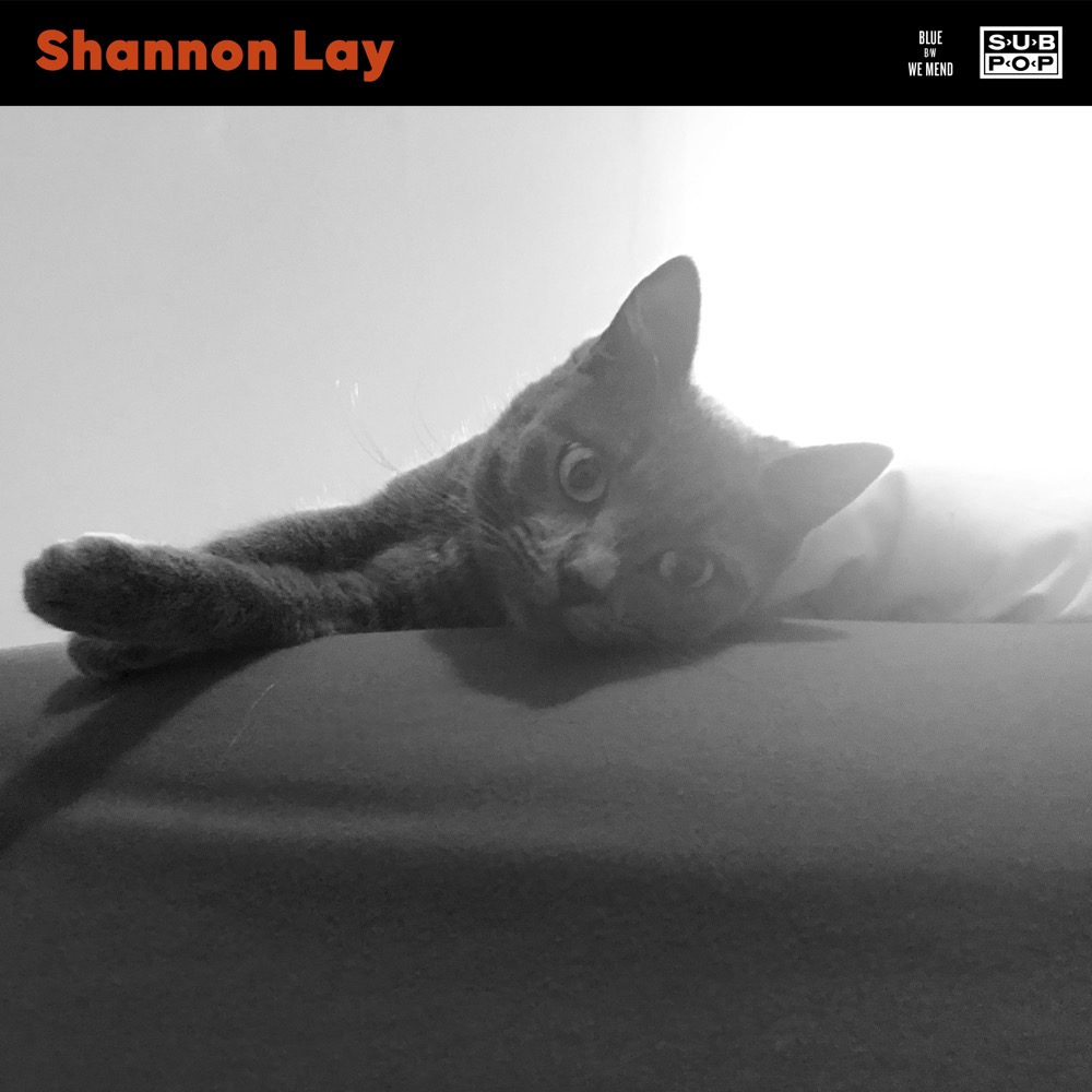 Shannon Lay - Blue (Single) - Reviews - Album of The Year