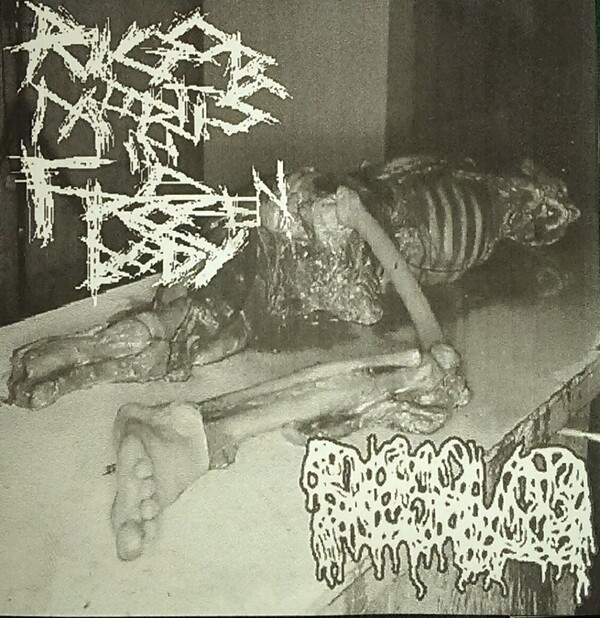 Rigor Mortis In A Frozen Body & Dissolved - Rigor Mortis In A Frozen ...