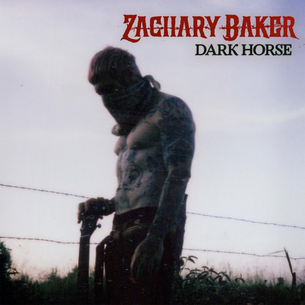 Zachary Baker - Dark Horse (Single) - Reviews - Album of The Year