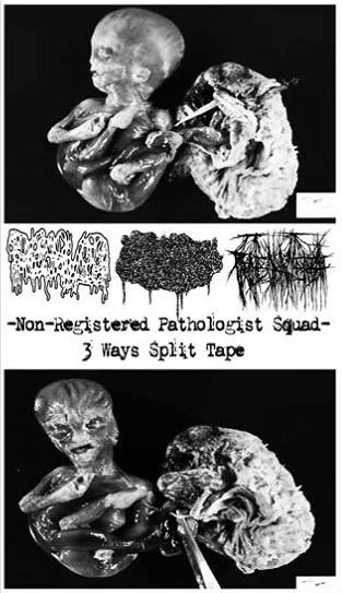 Dissolved, Human Stench Rests in the Morgue & Proteobacteria - Non ...