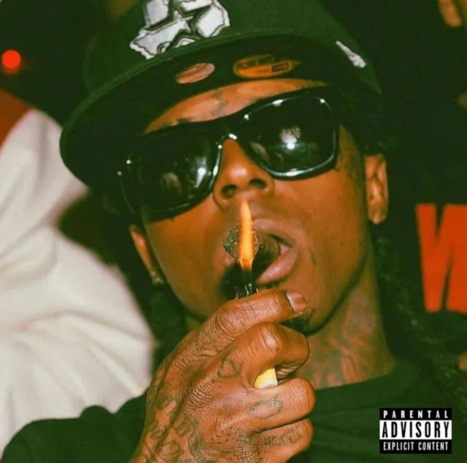 Robb Bank$ - Flo Milli Shit (Freestyle) (Single) - Reviews - Album of ...