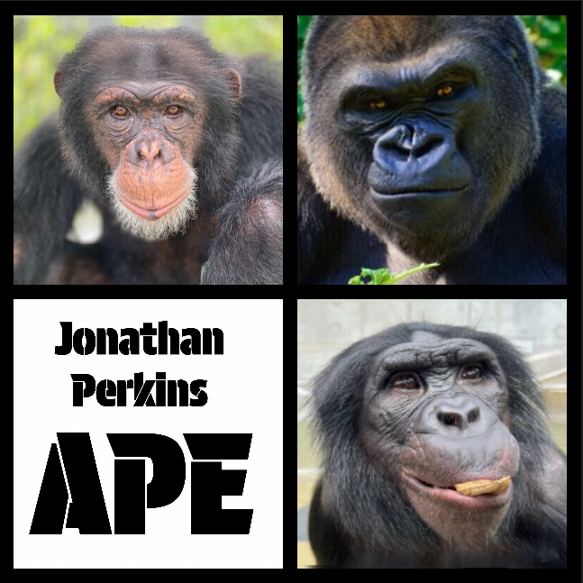 Jonathan Perkins - APE - Reviews - Album of The Year