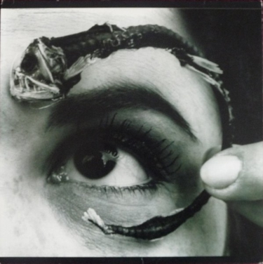 Mr. Bungle - Disco Volante (2025 Press) (Reissue) - Reviews - Album of ...