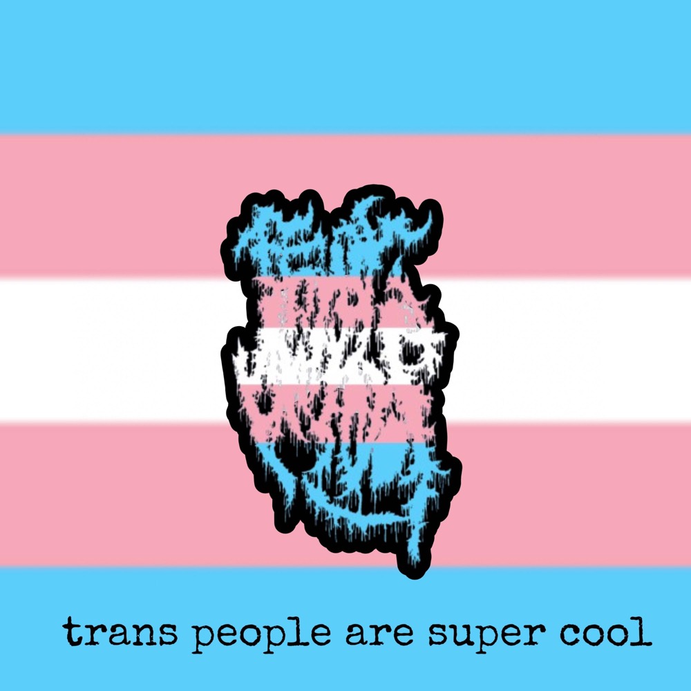 FEMBOY ANNIHILATOR - trans people are super cool (single) (Single ...