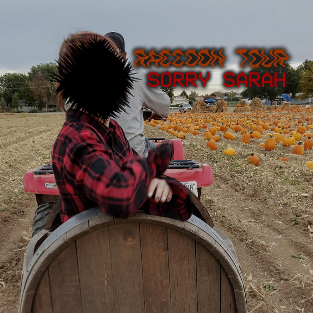 Raccoon Tour - Sorry Sarah - Reviews - Album of The Year