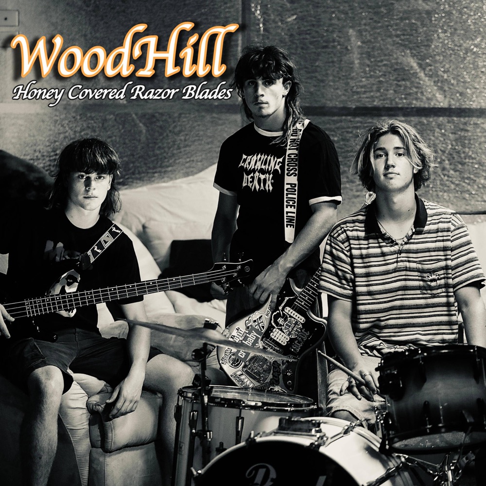 WoodHill - Honey Covered Razor Blades - Reviews - Album of The Year