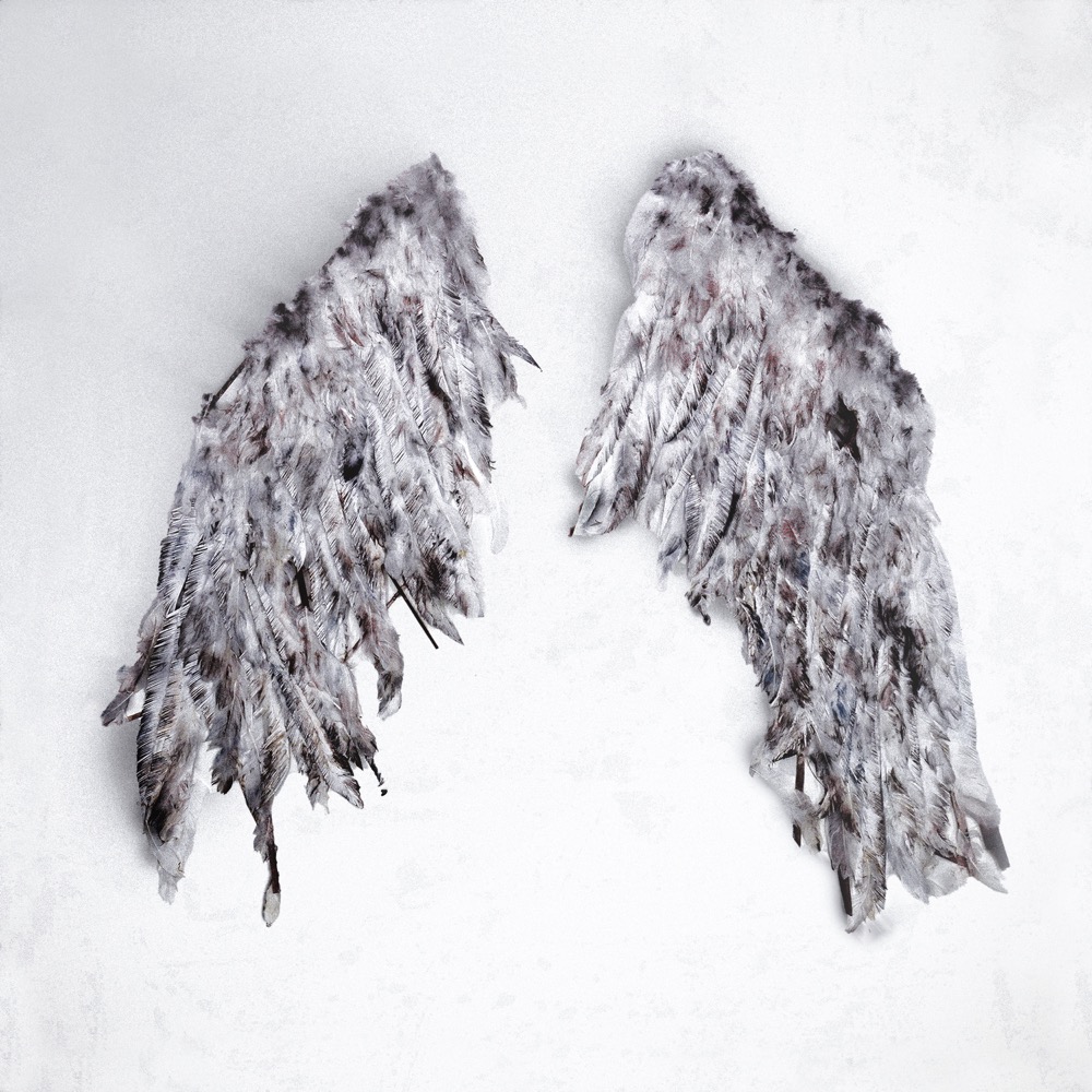 Đorđe - Icarus - Reviews - Album of The Year