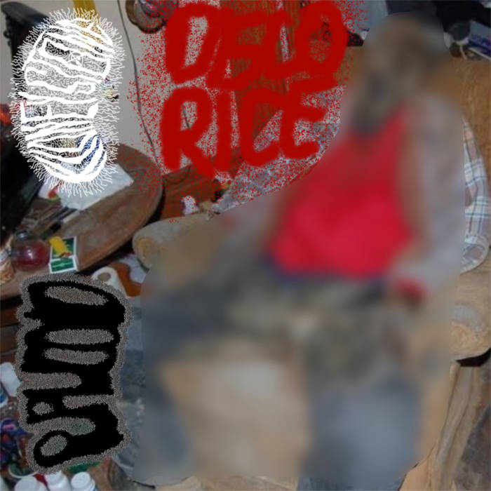 KIDNEY STONE & Puruloid - DISCO RICE (PURULOID SPLIT) - Reviews - Album ...