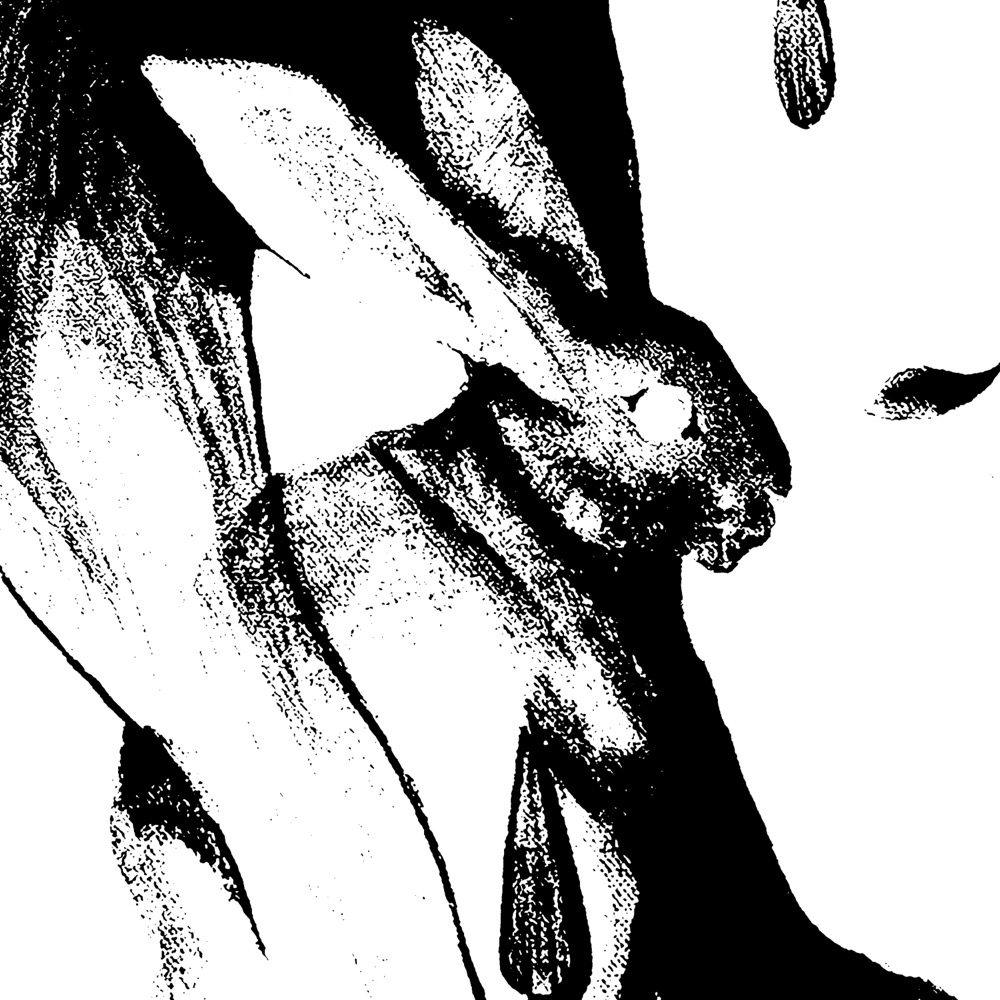 Virga - Night Scene with Coyote (Single) - Reviews - Album of The Year