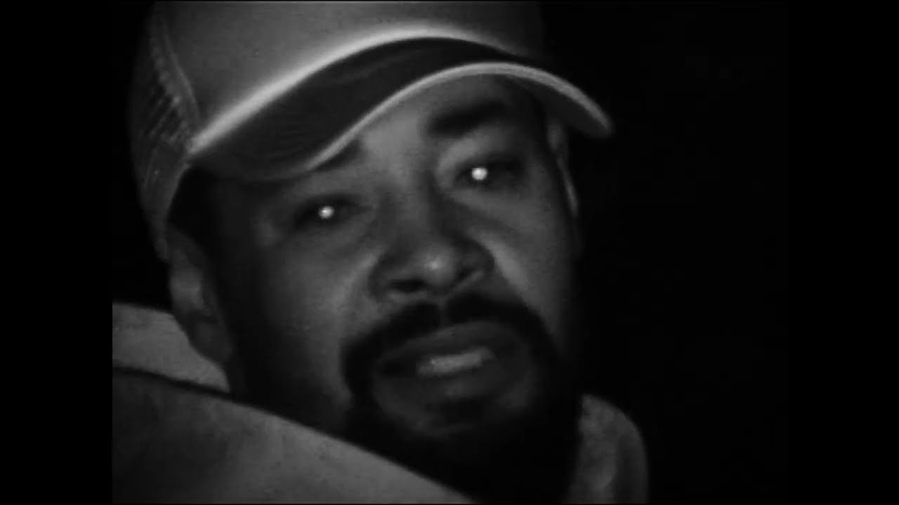 JPEGMAFIA & Danny Brown - SCARING THE HOES (Music Video) - Reviews ...