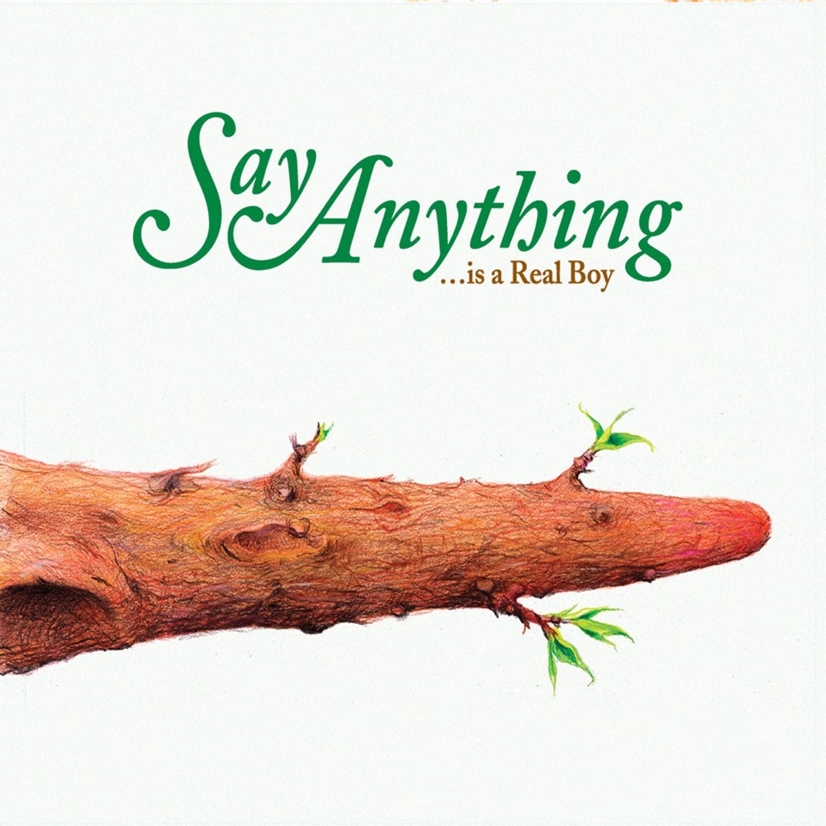 Albums Similar to ...Is a Real Boy by Say Anything