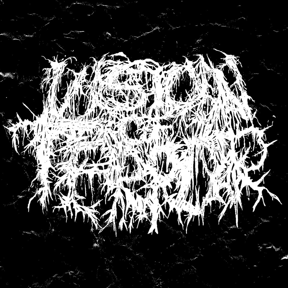 VISION OF TERROR - Demo 2026 (Demo) - Reviews - Album of The Year