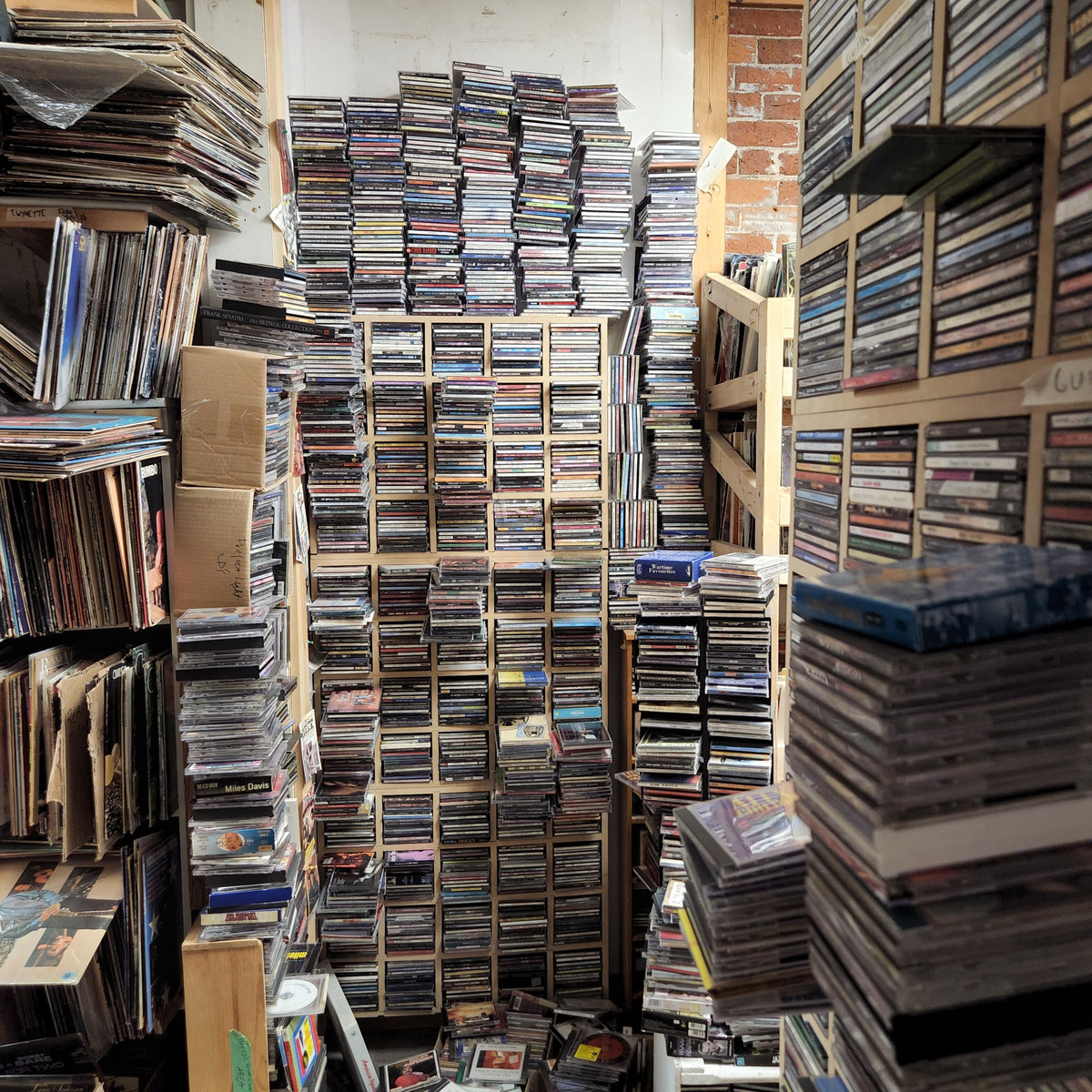 The Archives Assistant - Disc Rot - Reviews - Album of The Year